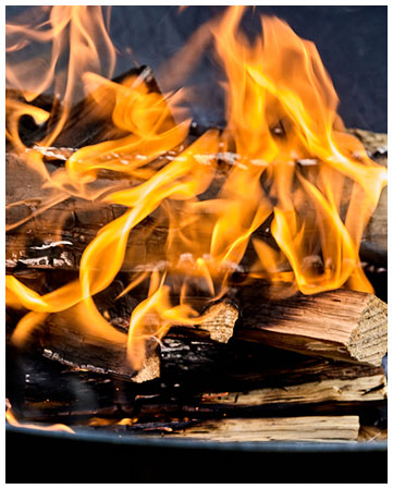 Firewood Auckland, Hamilton, Waikato & Tauranga: Firewood For Sale ...